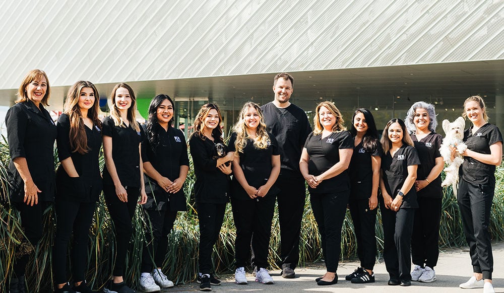 Kayla | Pier Dental Centre